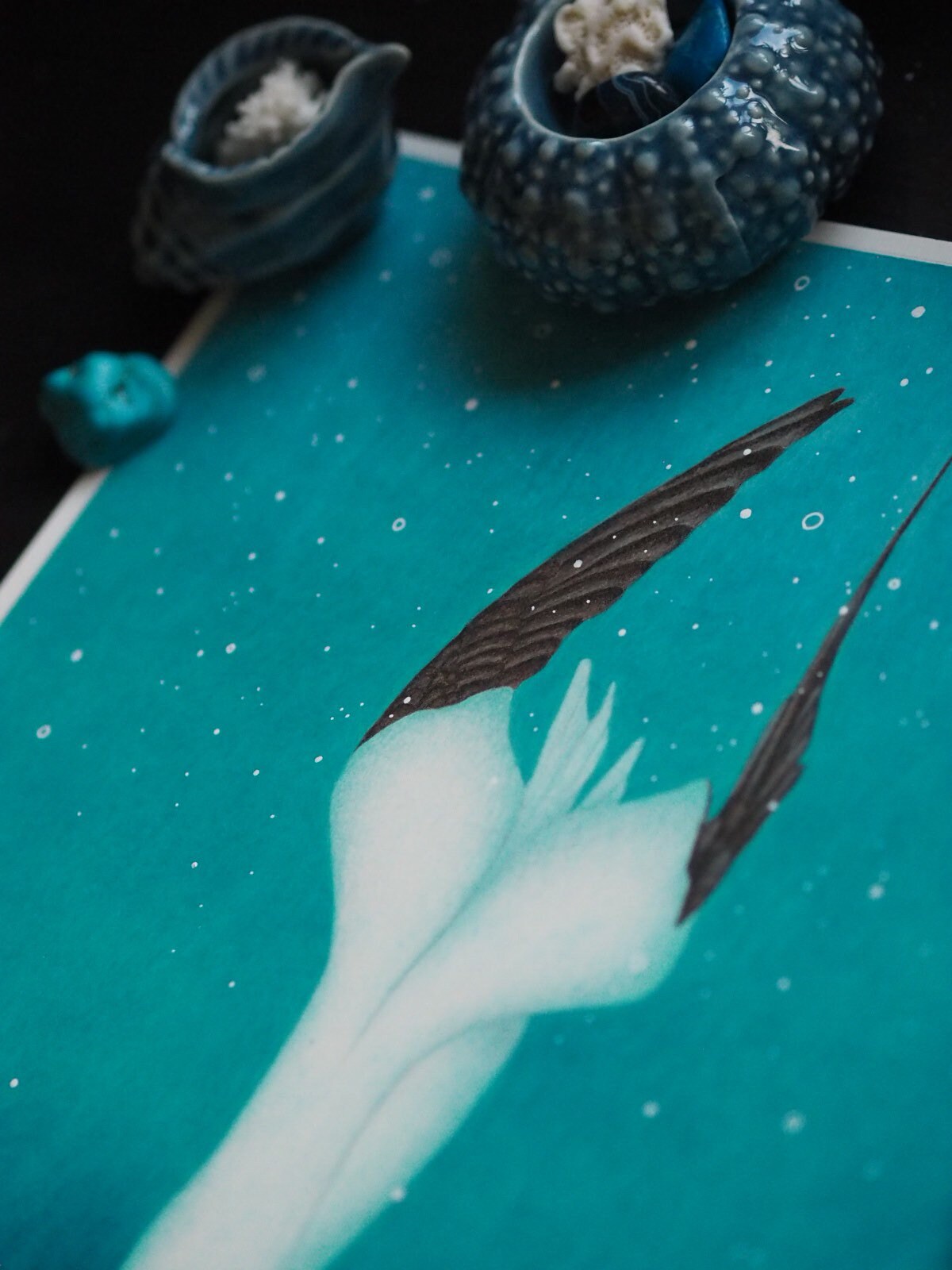 The Diving Gannet Fine Art Print Extra Heavyweight Matte A3 - Etsy UK