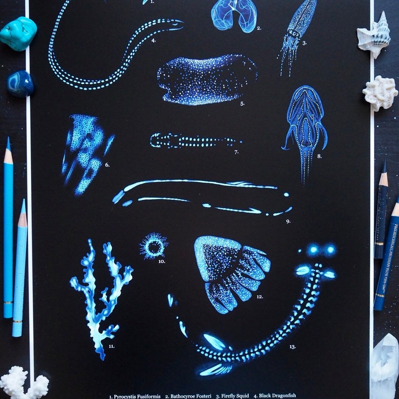 Deep Sea Art - Etsy