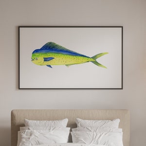 Mahi Mahi Watercolor Print Fish Home Decor Dolphin Fish - Etsy