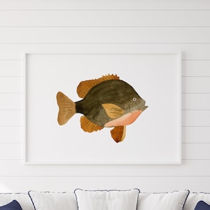 Bluegill Print Bluegill Wall Art Watercolor Bluegill - Etsy UK