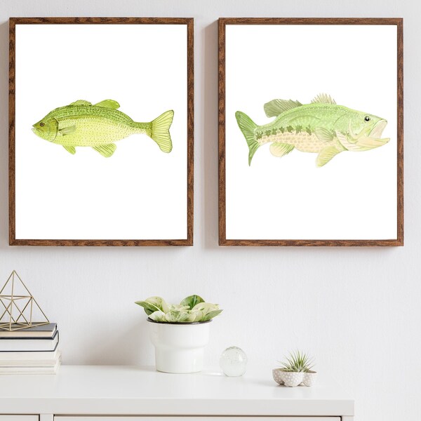 Bass Watercolor - Etsy