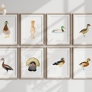 Watercolor Duck Art Prints, Mallard Duck, Whistling Duck, Duck Hunting ...