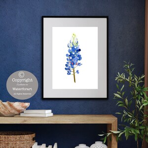 Bluebonnet - Etsy