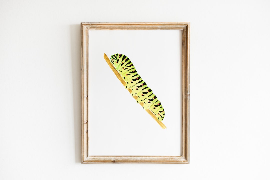 Watercolor Monarch Caterpillar Art Print, Kids Room Decor, Nature ...