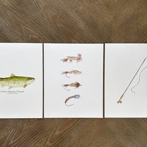 Watercolor Salmon Fly Fishing Art Print Set, Fishing Wall Gallery Decor ...