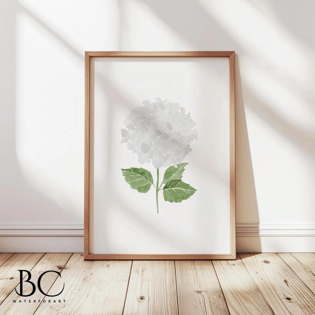 Watercolor White Hydrangea Print, Hydrangea Floral Watercolor Print ...