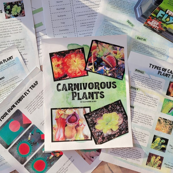 Carnivorous Plant - Etsy