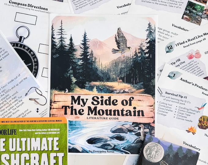 5th Grade Novel Studies Bundle Wonder Holes Number the Stars - Etsy