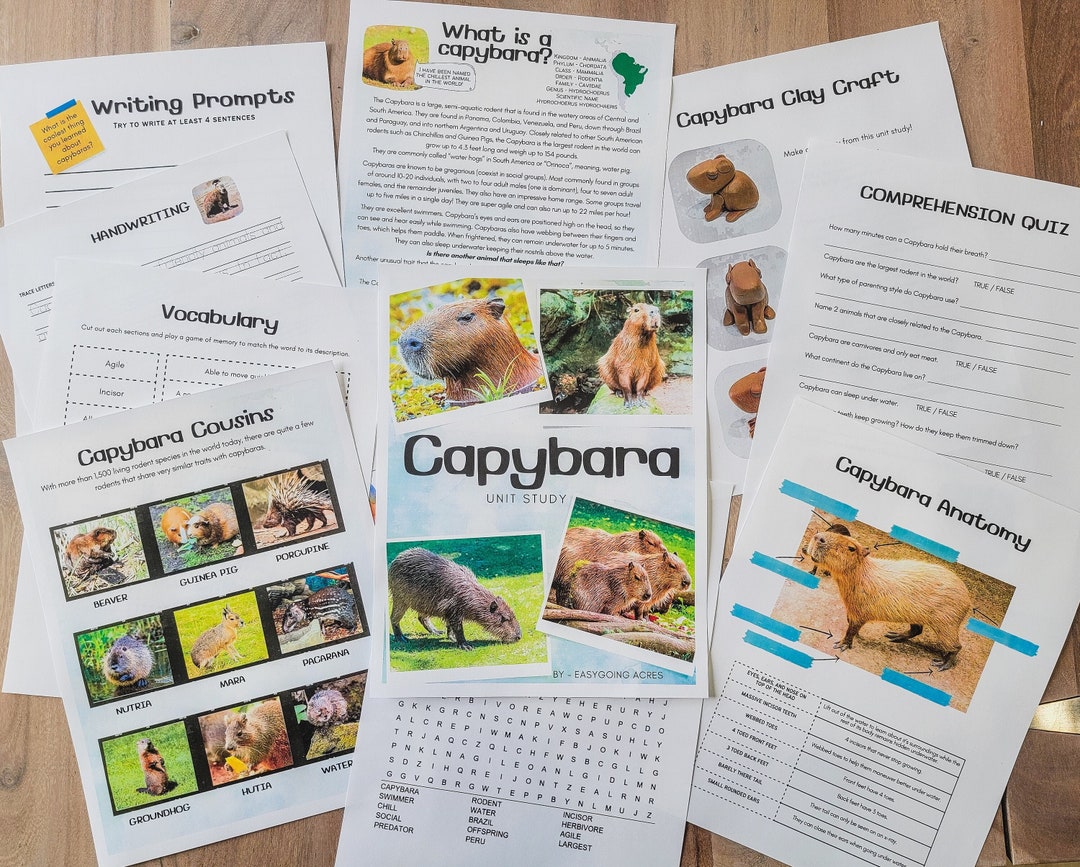 Capybara Unit Study - Etsy