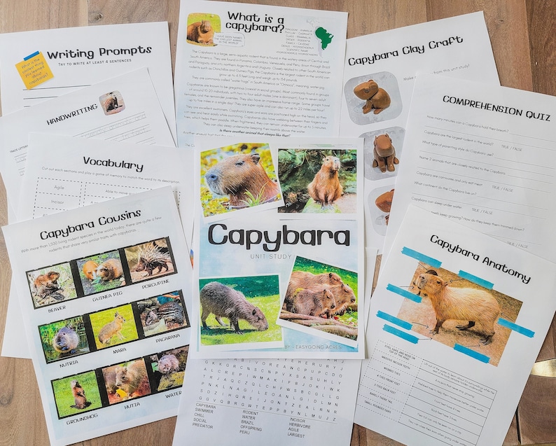 Capybara Unit Study - Etsy