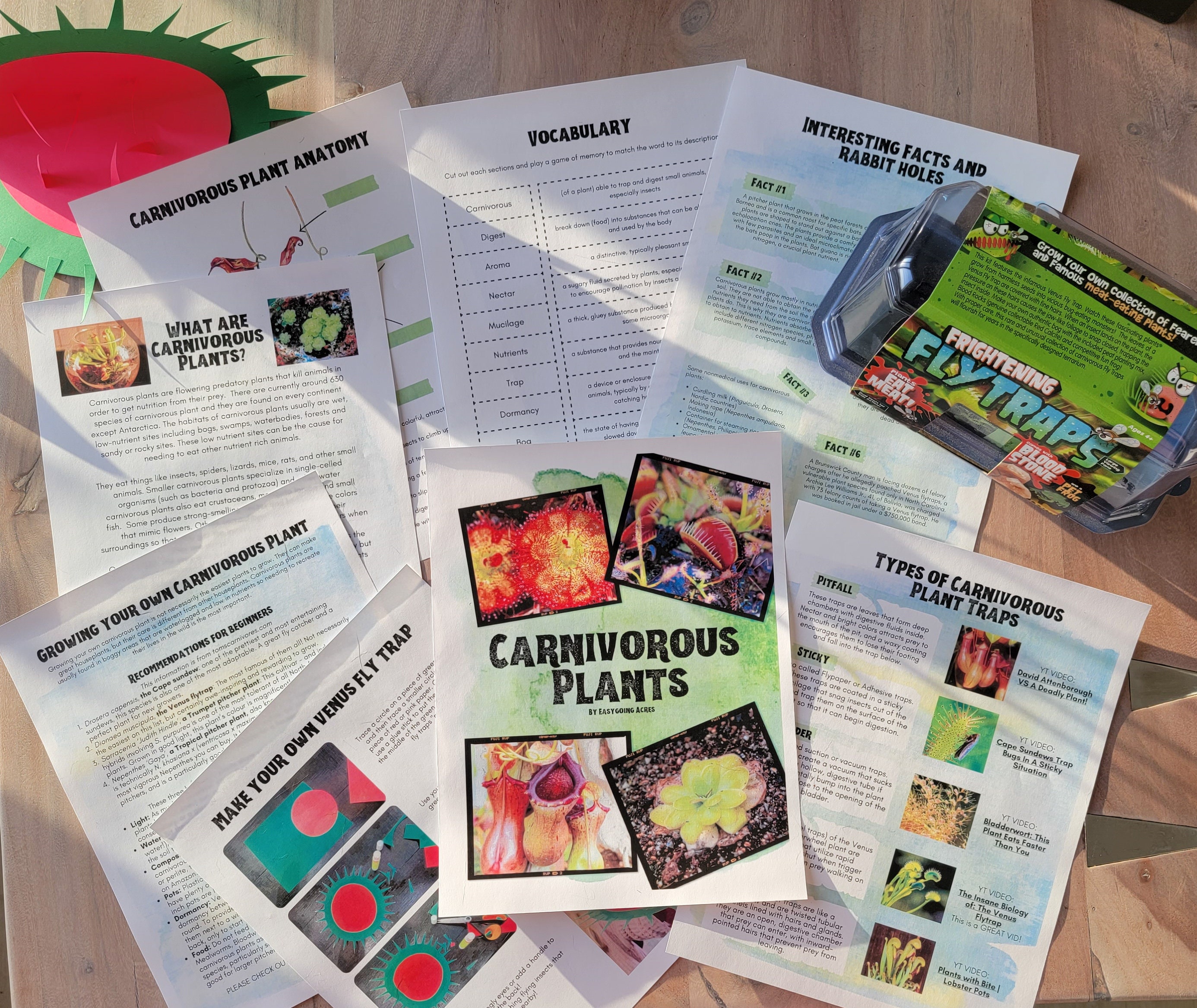 Carnivorous Plants Unit Study - Etsy