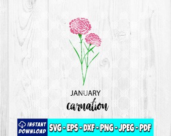 January Birth Flower SVG - Etsy
