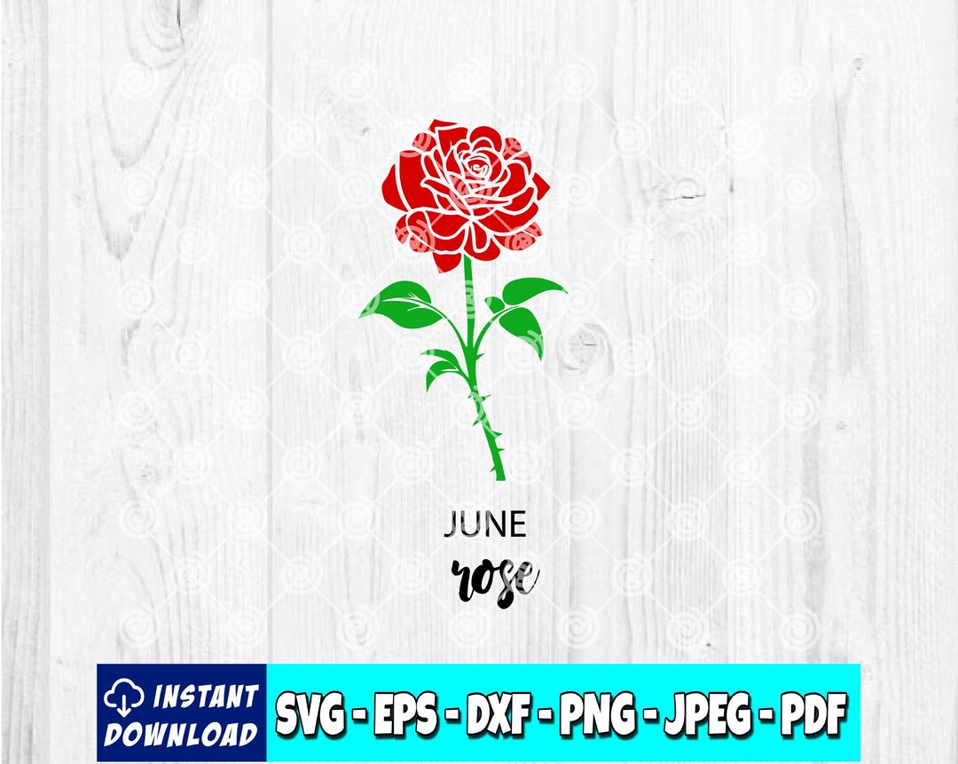 June Birth Flower SVG | Rose Svg | Rose Birth Flower | Birth Month ...