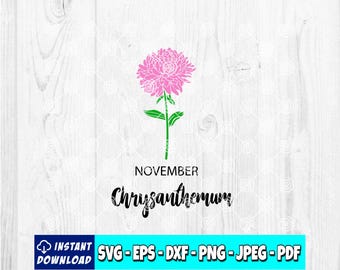 November Birth Flower SVG PNG Chrysanthemum Flower File Digital ...