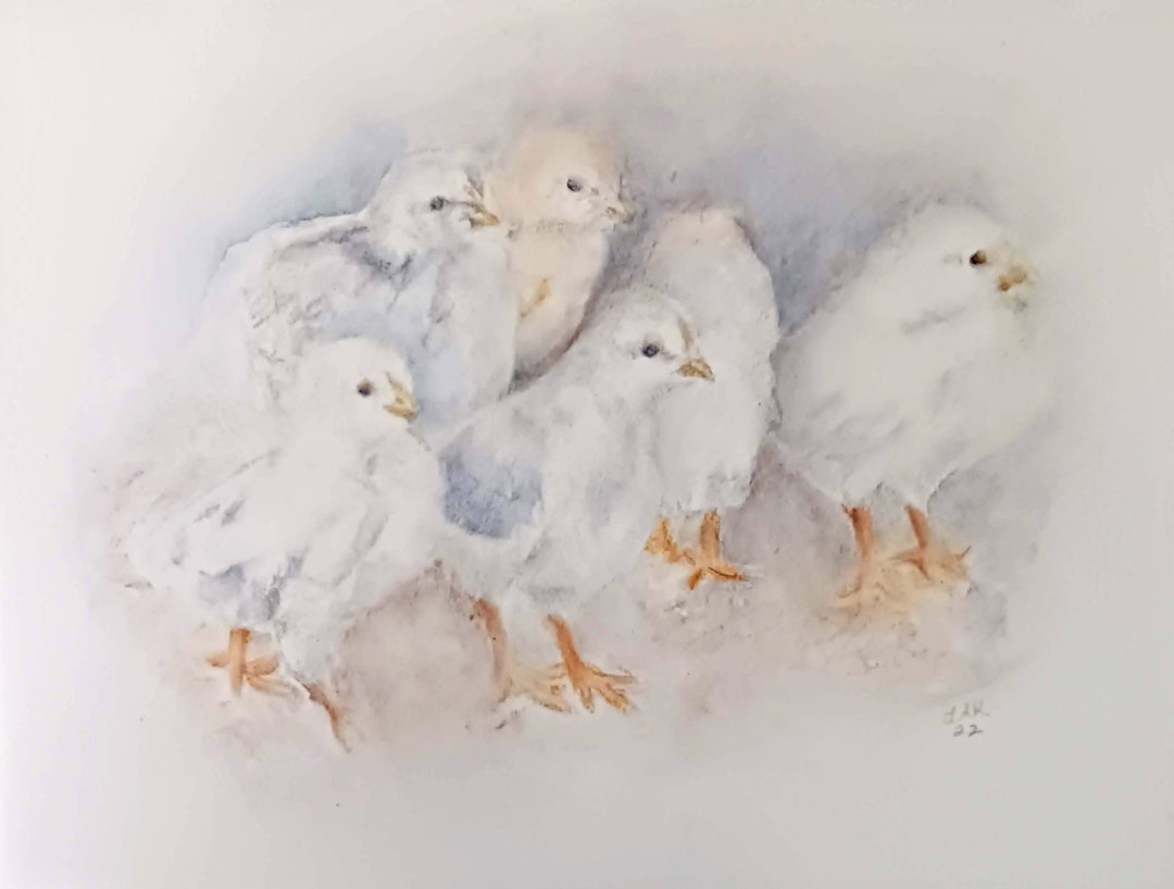Original Spring Chicks Painting Watercolor Bird Wall Art NOT - Etsy
