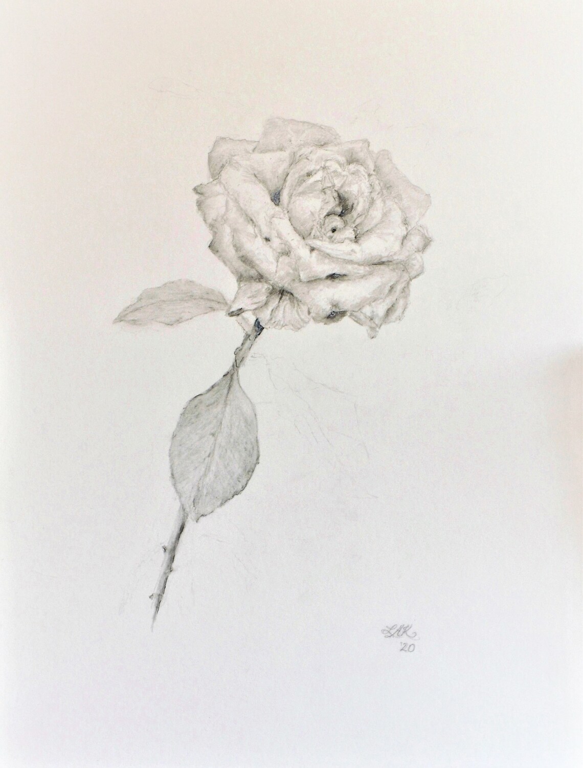 Original Handmade Rose Illustration, Graphite Wall Art Drawing - Etsy