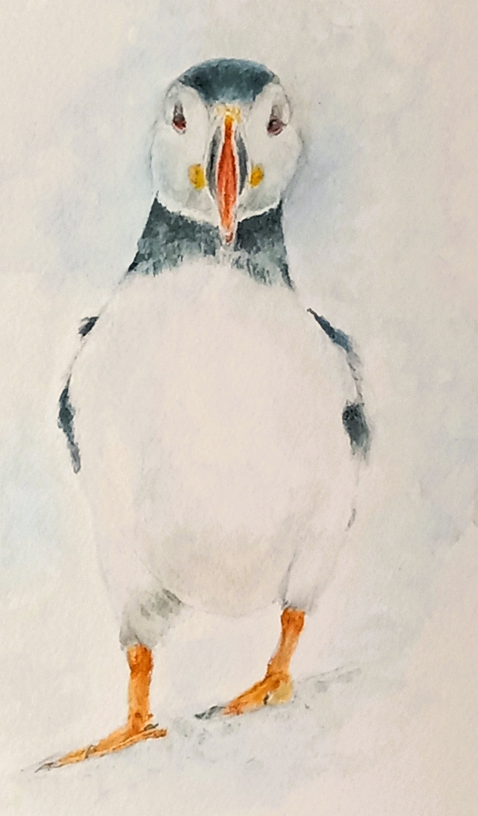 Original Puffin Watercolor Painting Handmade Bird Art Wall - Etsy
