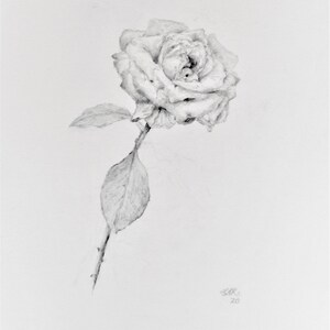 Original Handmade Rose Illustration, Graphite Wall Art Drawing - Etsy