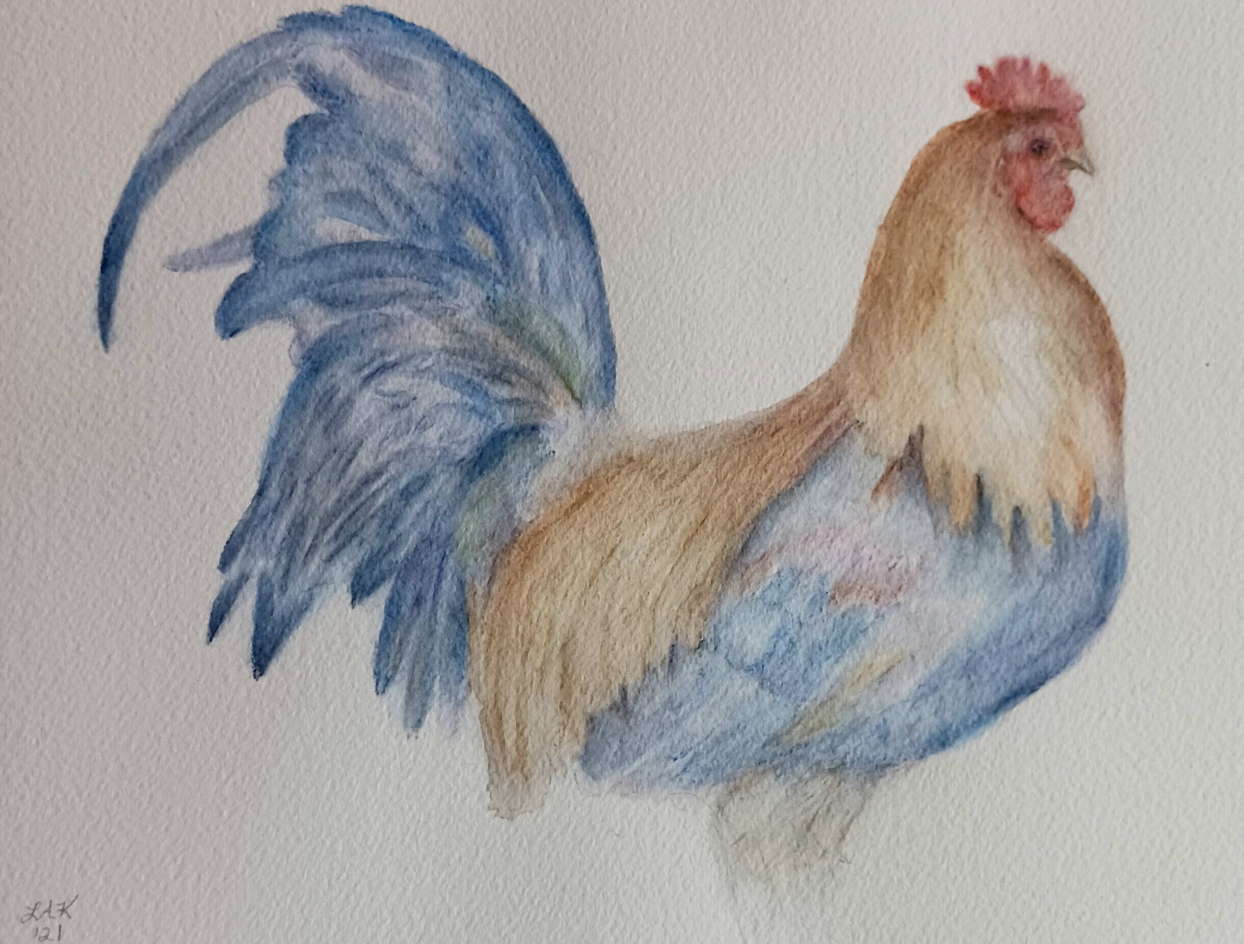 Pencil Drawing Of Roosters And Hens