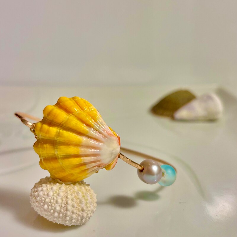 Sunrise Shells - Etsy
