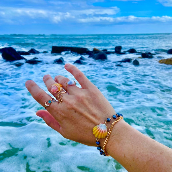 Sunrise Shell - Etsy