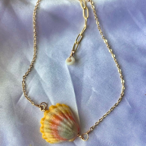 Shell Jewelry - Etsy
