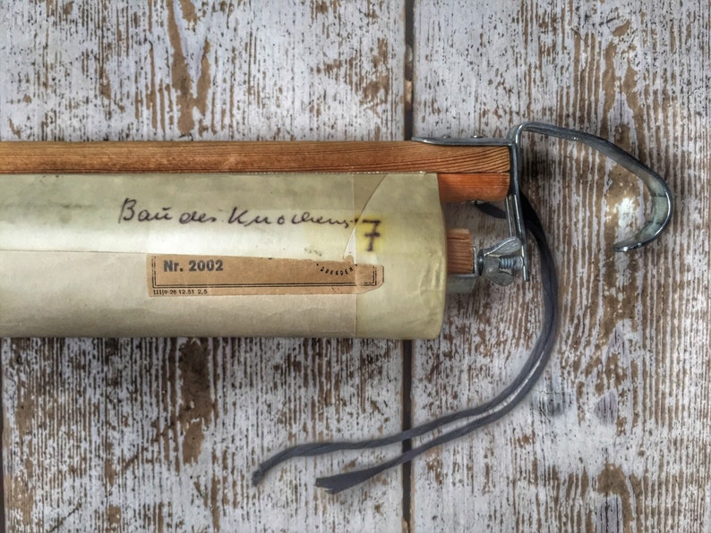 Anatomical Vintage German Wall Chart Circa 1950's - Etsy