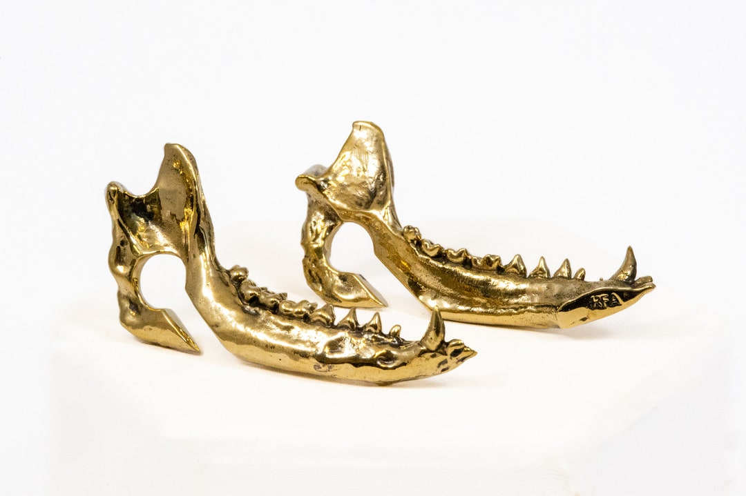 Mini Jaw Droppers - Ear Weights - Etsy