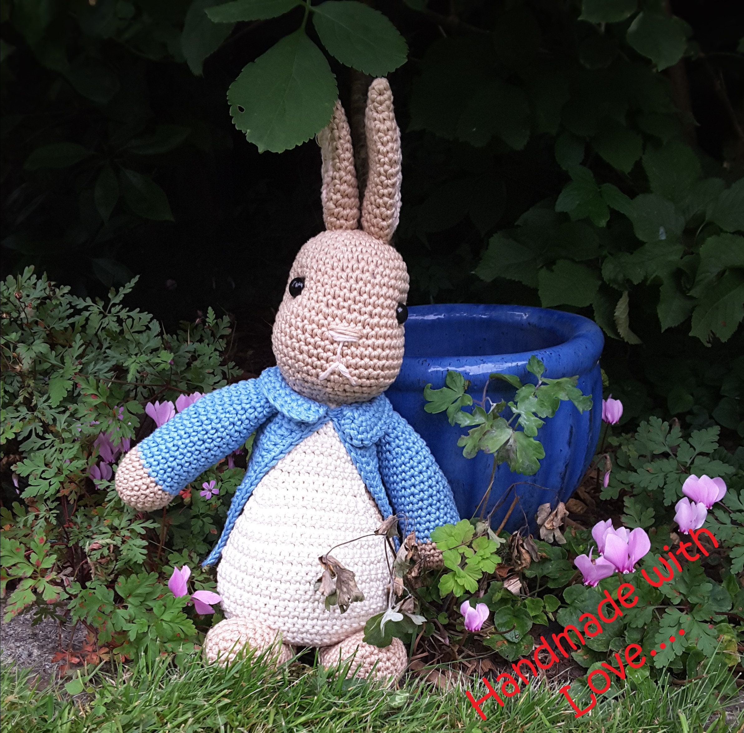 Peter the Rabbit Crochet Pattern Only Amigurumi US | Etsy