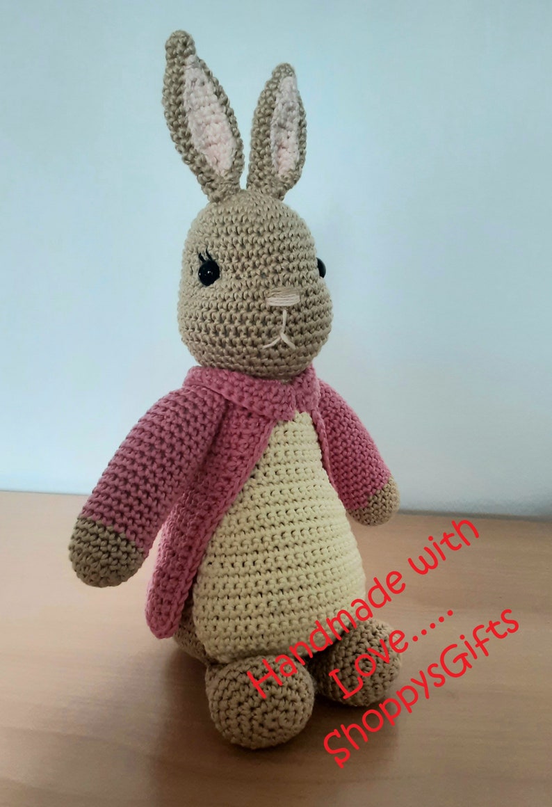 Peter the Rabbit Crochet Pattern Only Amigurumi US - Etsy