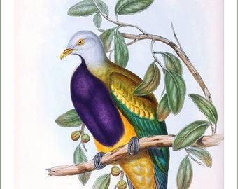 Fabric Panel Parrot 5. for Sewing, Patchwork, Quilting. Fabric, Fabric ...