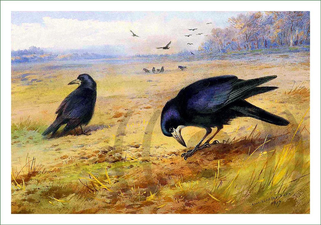 Fabric Panel - Archibald Thorburn (12). for Sewing, Patchwork, Quilting ...