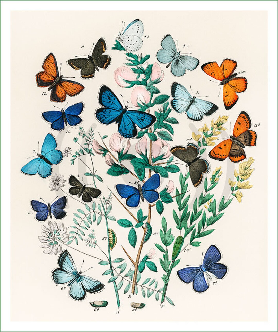 Fabric Panel Butterflies 36. for Sewing, Patchwork, Quilting. Fabric ...