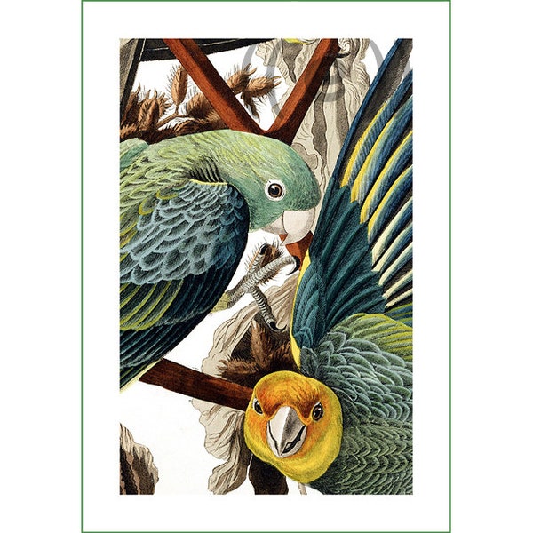 Fabric Panels for Quilting - Etsy