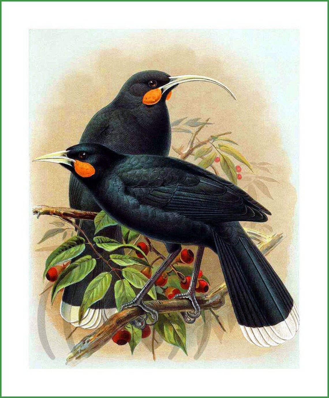 Fabric panel birds 30. For sewing patchwork quilting. | Etsy