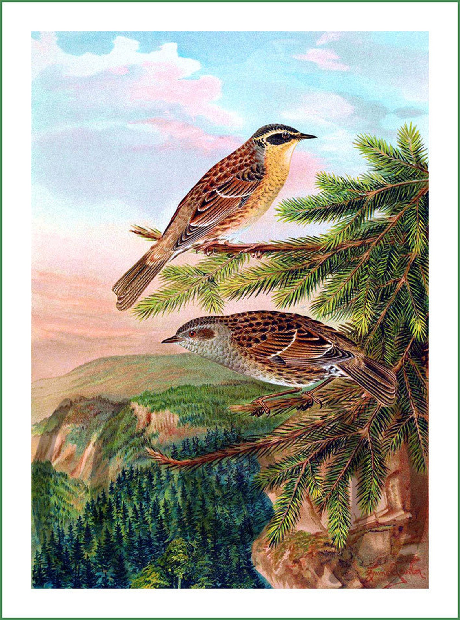 Fabric Panel - Bruno Geisler (2). for Sewing, Patchwork, Quilting ...