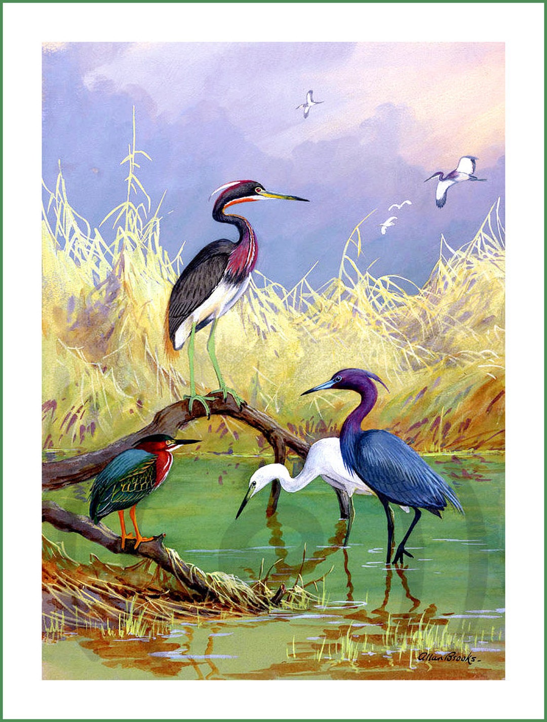 Fabric Panel Allan Brooks 4. for Sewing, Patchwork, Quilting. Fabric ...