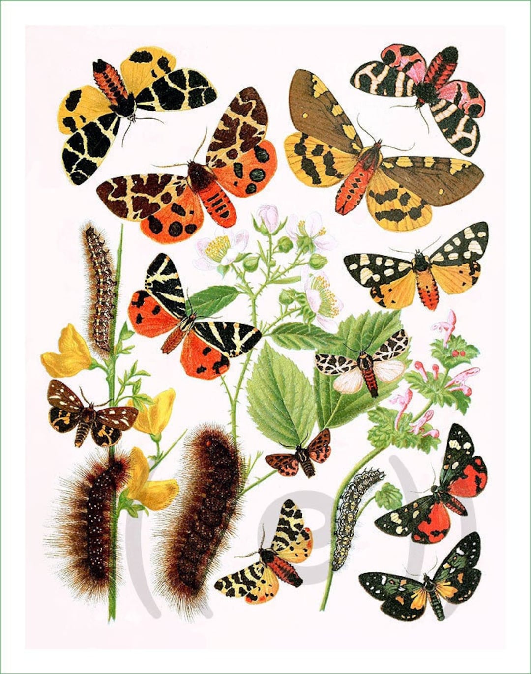 Fabric Panel - Butterflies (38). for Sewing, Patchwork, Quilting ...