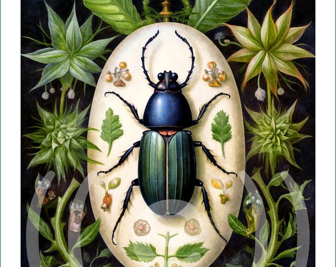 Fabric Panel - DI (87) - Botanical Beetles. for Sewing, Patchwork ...