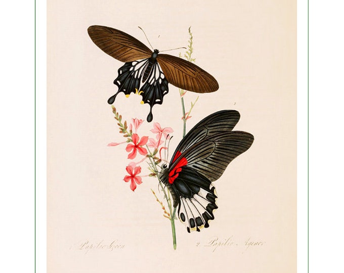 Fabric Panel Butterflies 6. for Sewing Patchwork - Etsy