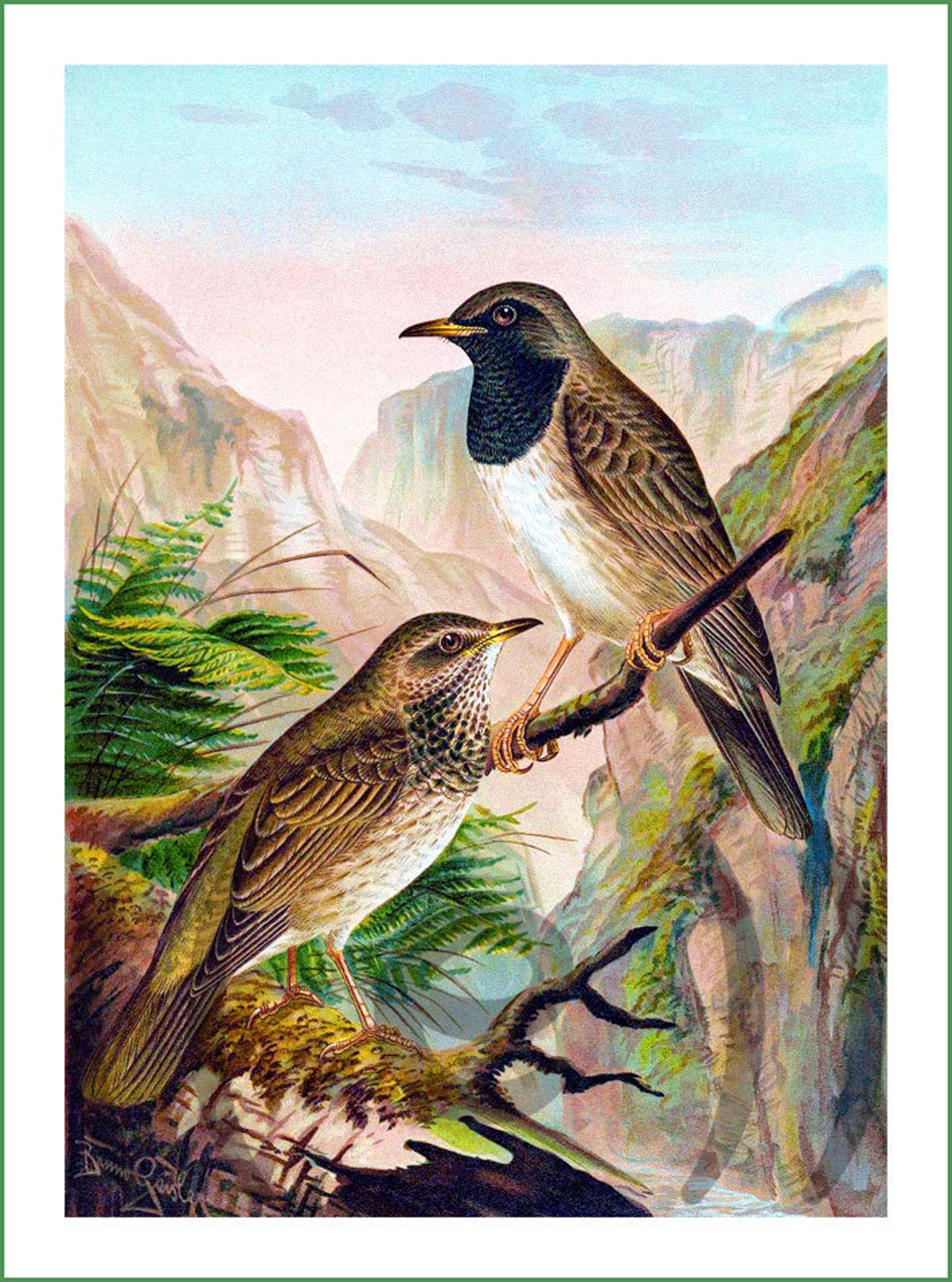 Fabric Panel - Bruno Geisler (9). for Sewing, Patchwork, Quilting ...