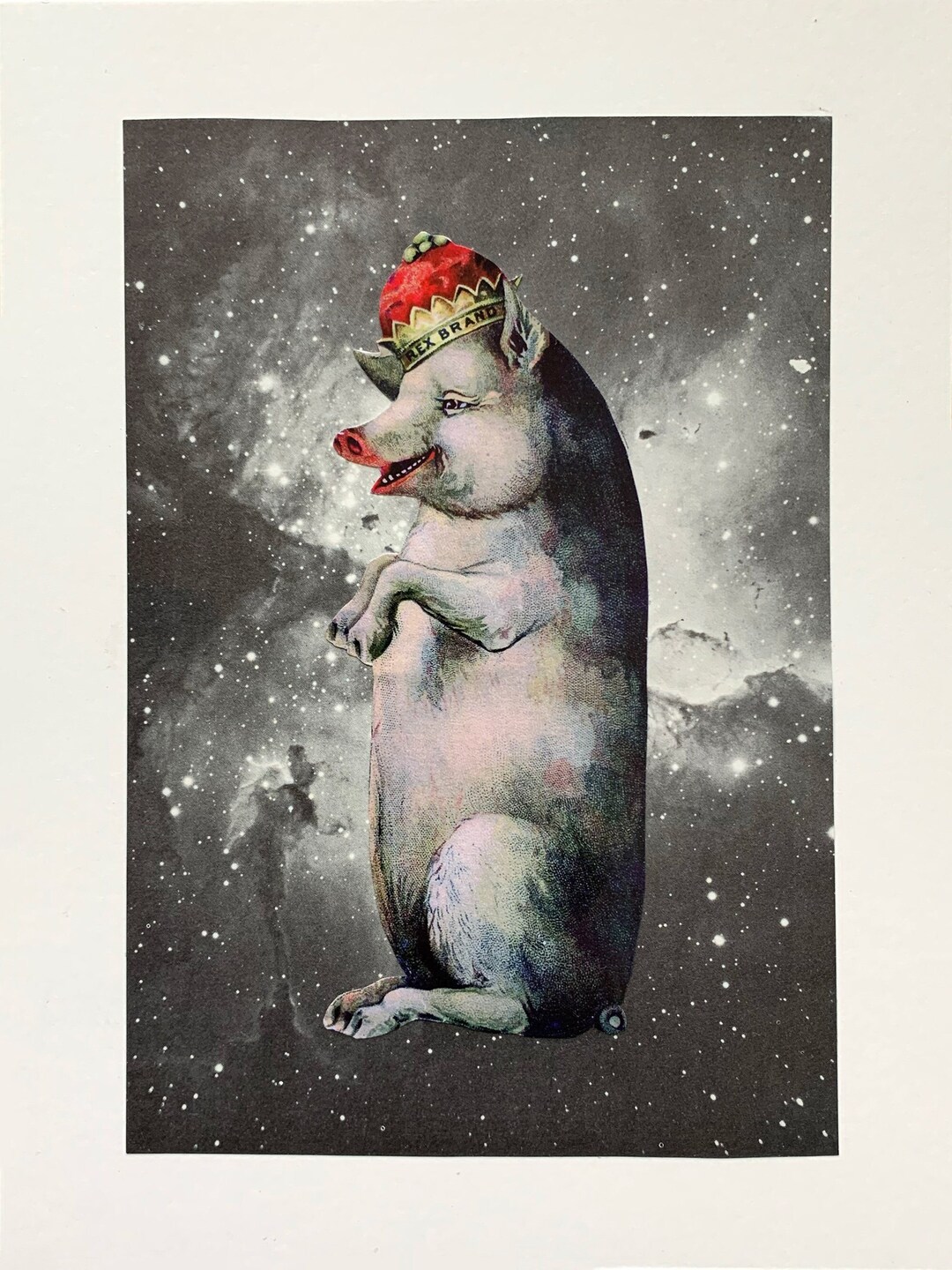Nebula Pig Original Paper Collage - Etsy