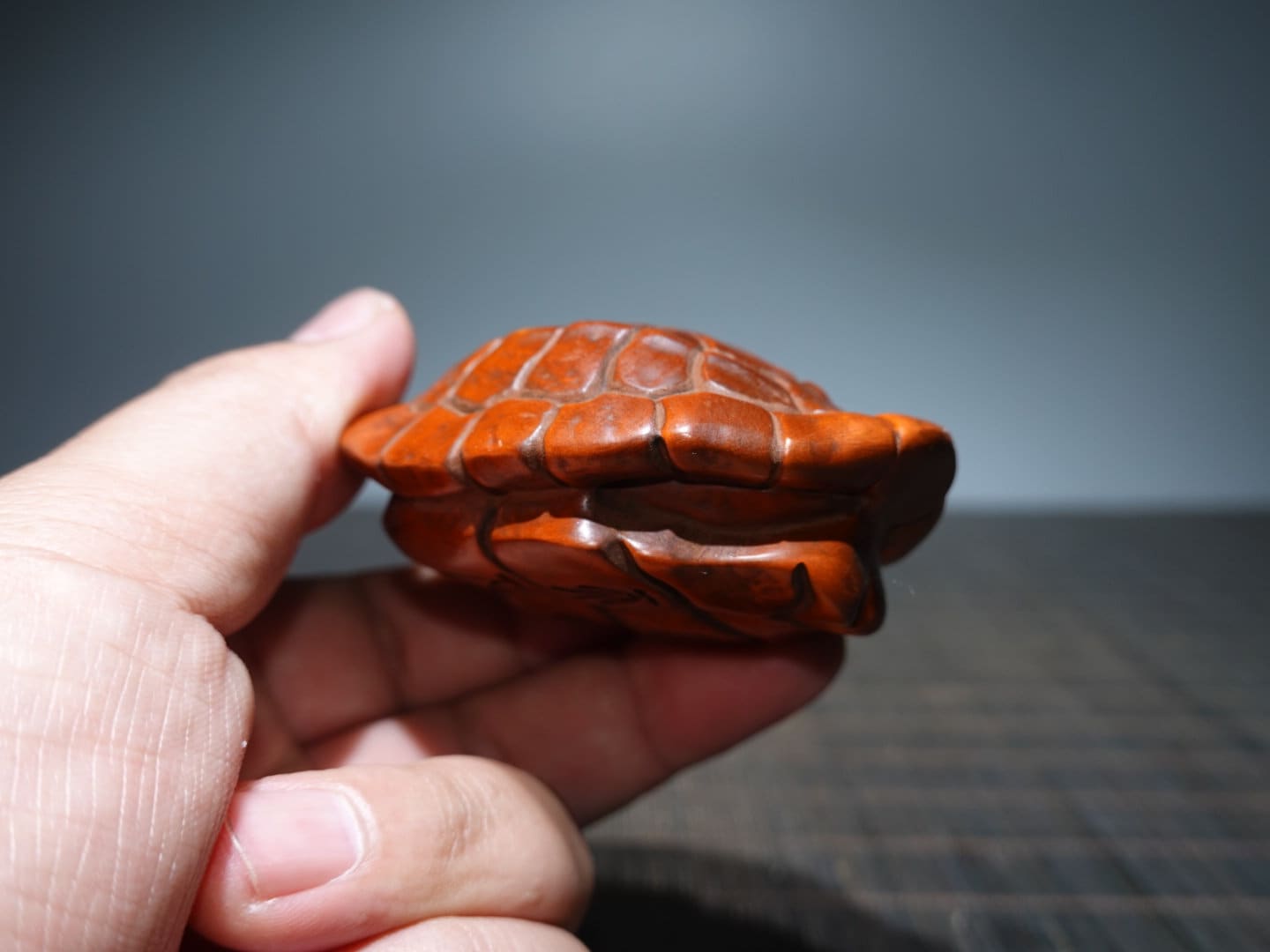 Boxwood Turtle Shell Statue Decorationshandcrafted Tabletop - Etsy