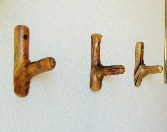 Small Cottonwood Tree Branch Wall Hooks in a Matched Set of - Etsy