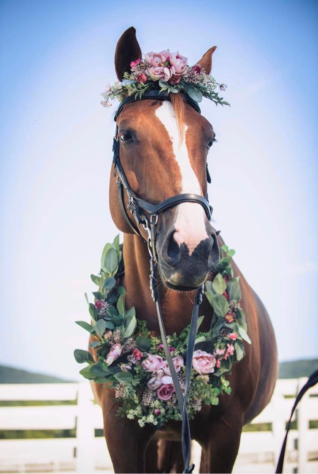Horse Neck Garland Horse Photography Prop Rustic Wedding Decor Horse ...