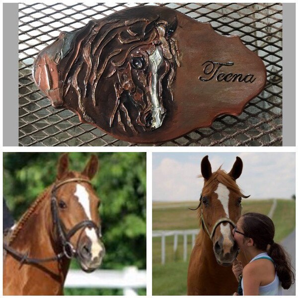 Stall Signs Horse Memorial - Etsy