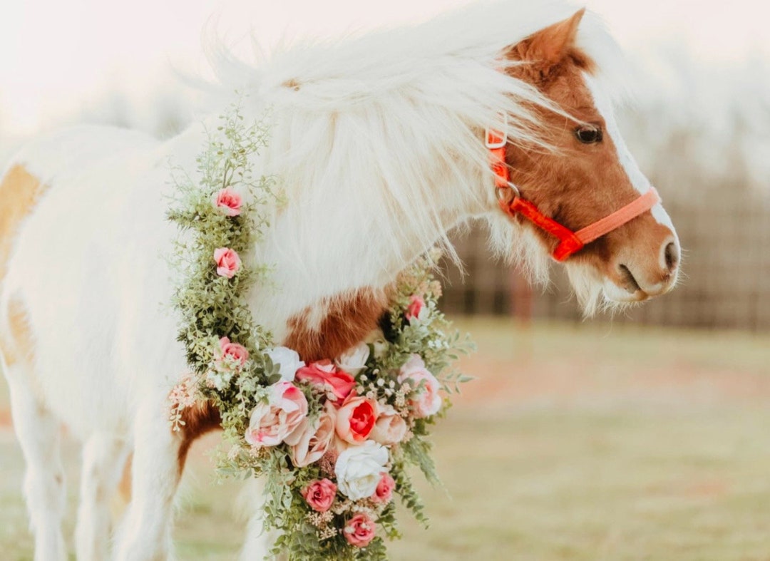 Horse Neck Garland - Horse Photography Prop - Rustic Wedding Decor ...