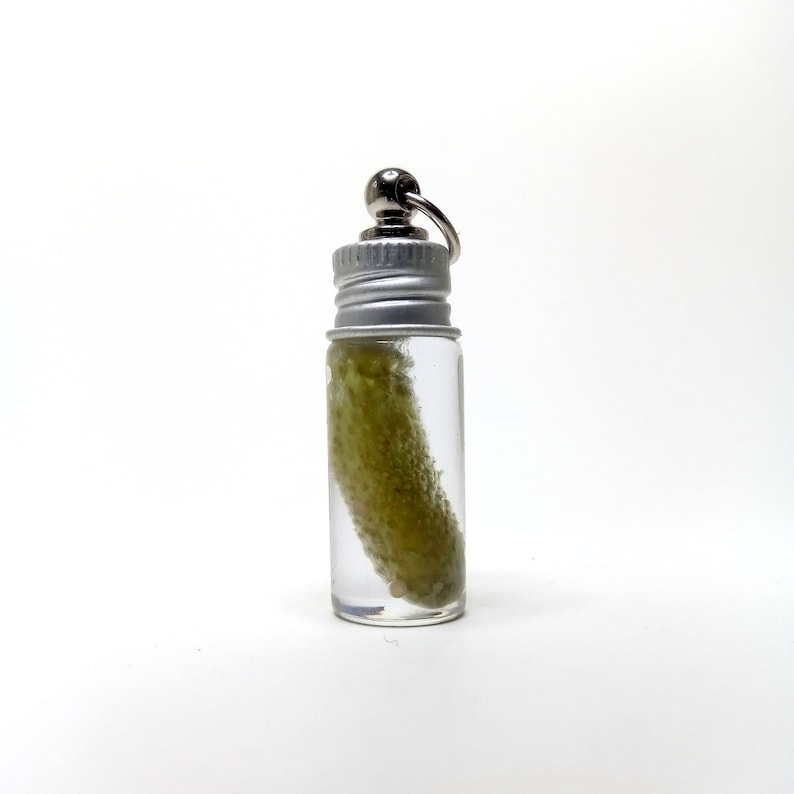 Dill Pickle Jar Pendant Gift for Pickle Lovers Pickleball Keychains Fun ...