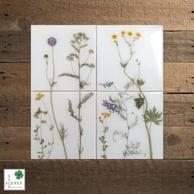 Herbarium Tiles With Real Dry Plants Spring Meadow Collection ...