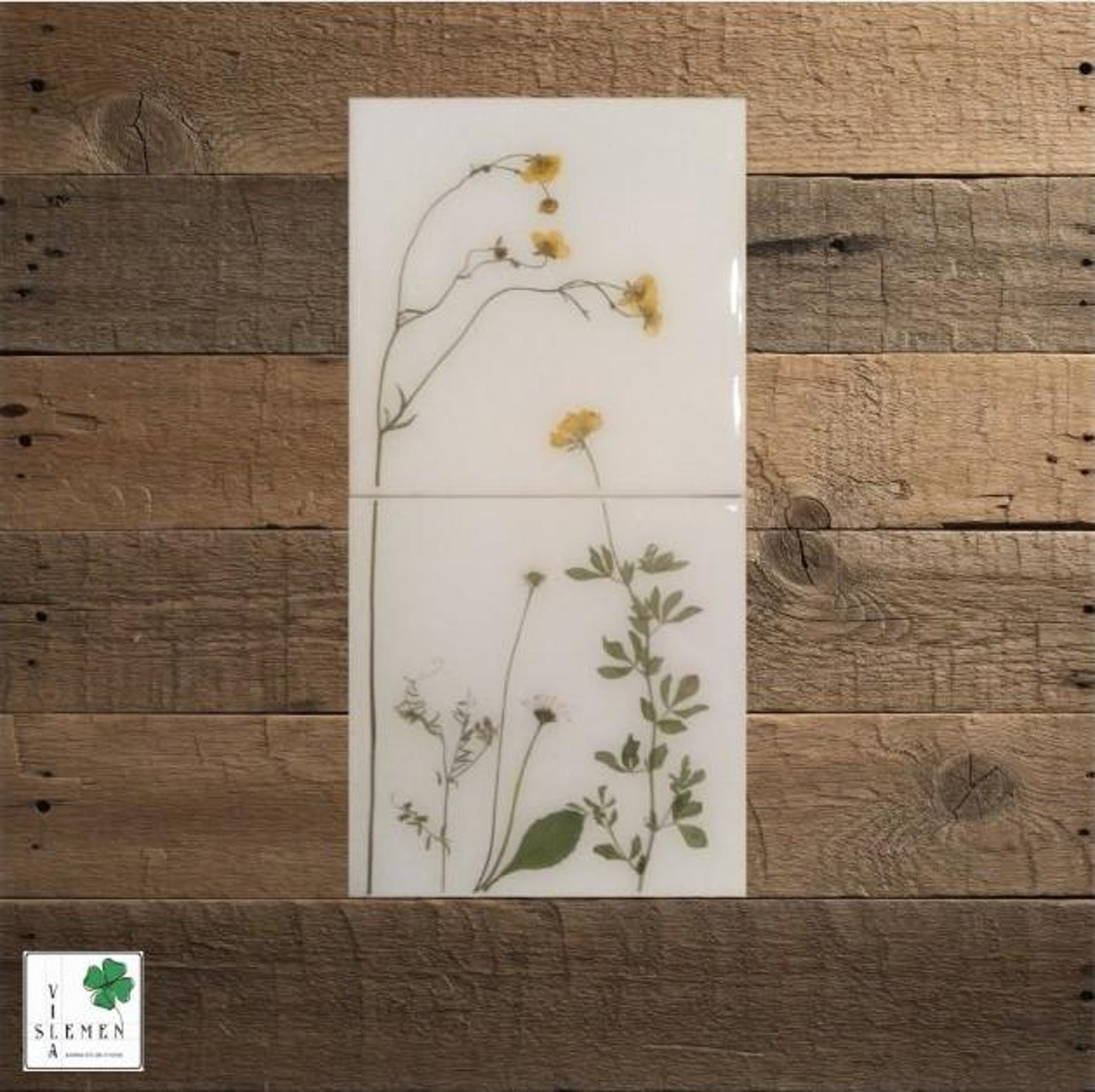 Herbarium Tiles With Real Dry Plants Spring Meadow Collection ...
